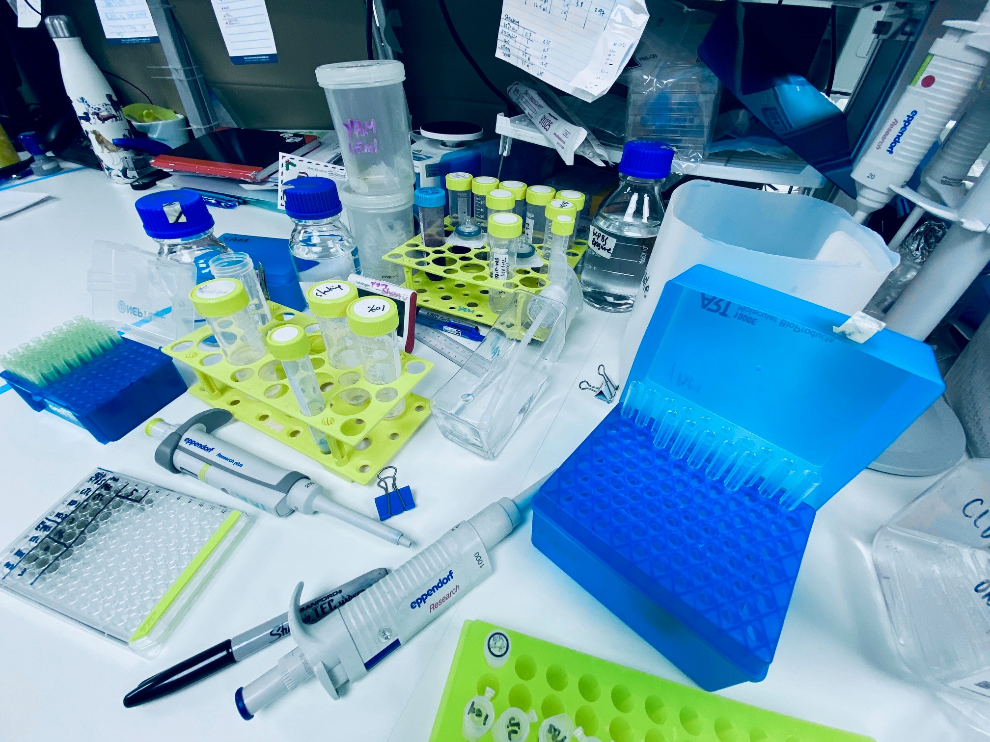 bench-8 – YAM Laboratory