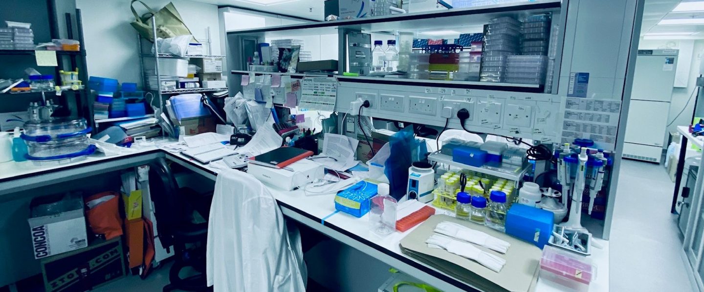 cropped-lab-e1583304777327.jpg – YAM Laboratory