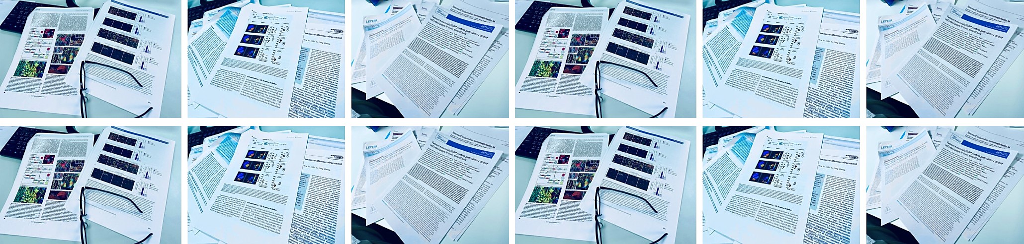 papers-banner – YAM Laboratory